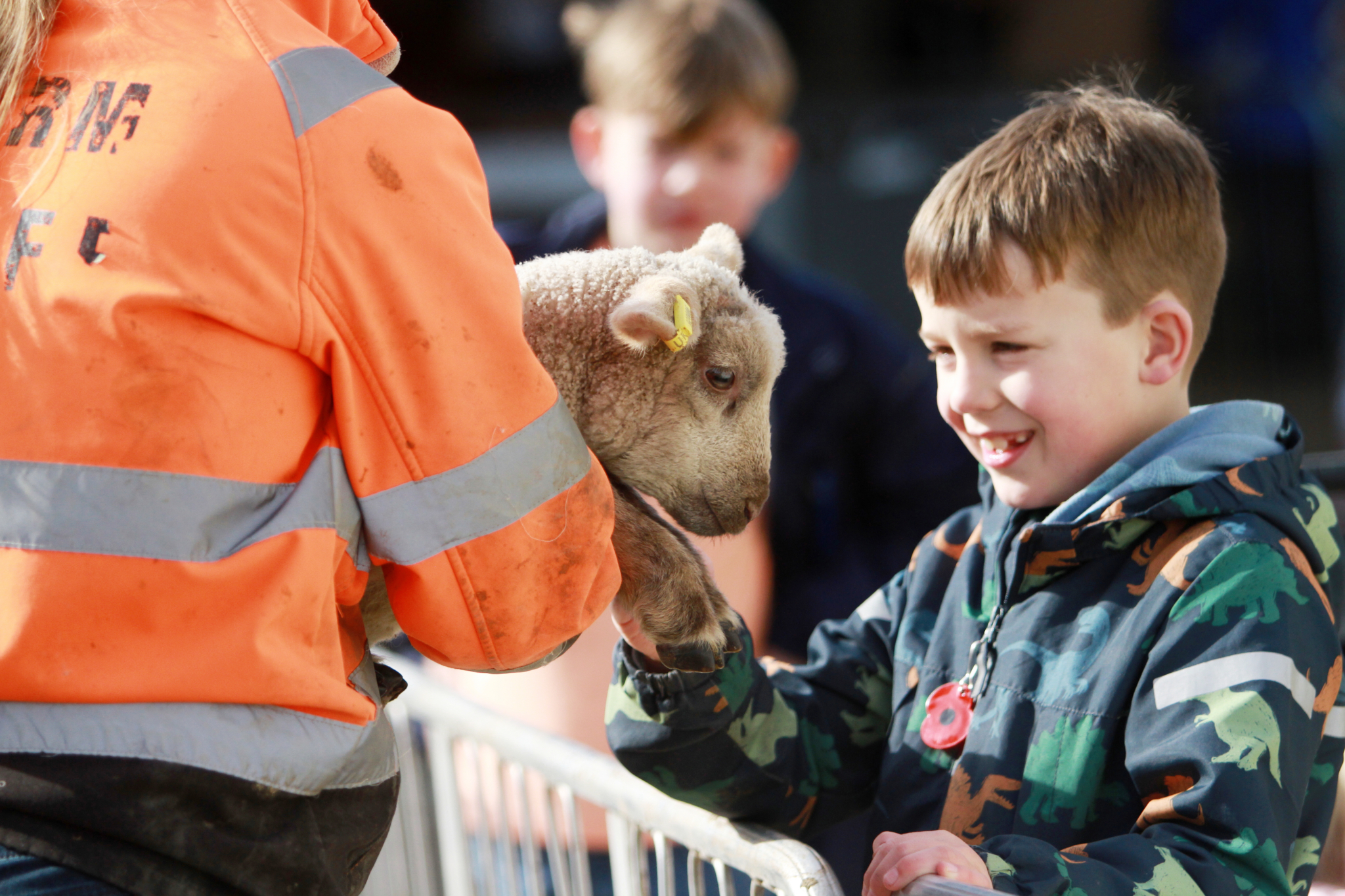 Lambing - Reaseheath College