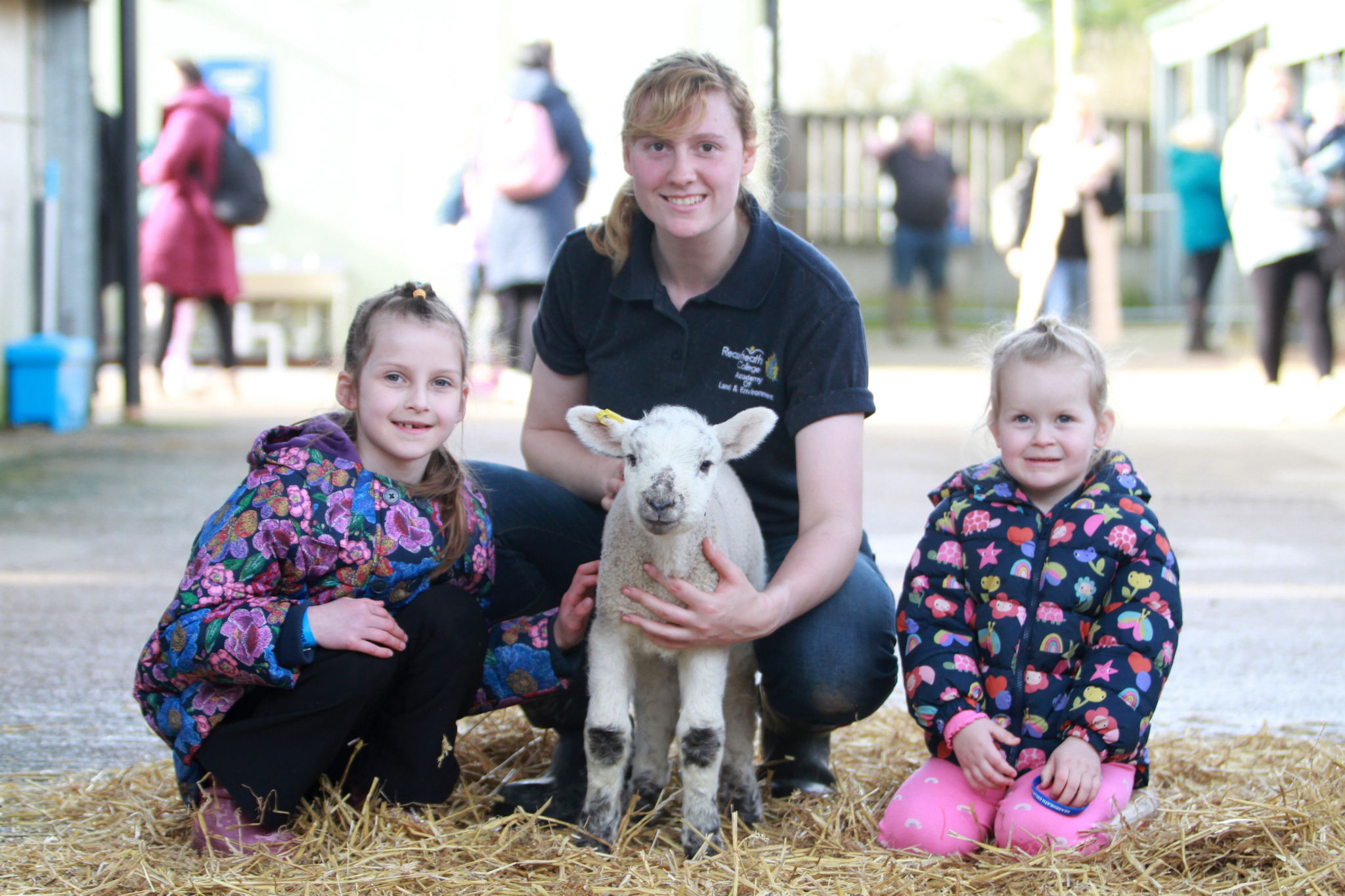 Lambing - Reaseheath College