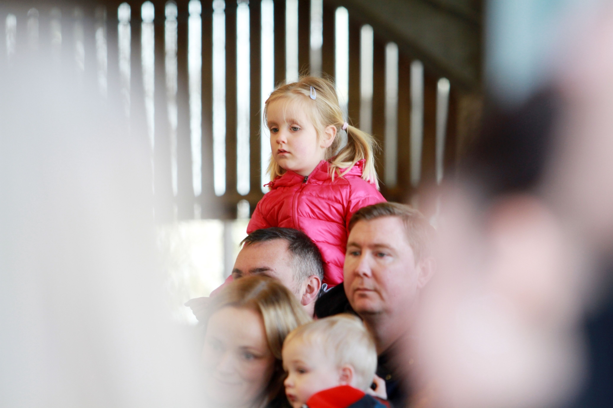 Lambing - Reaseheath College