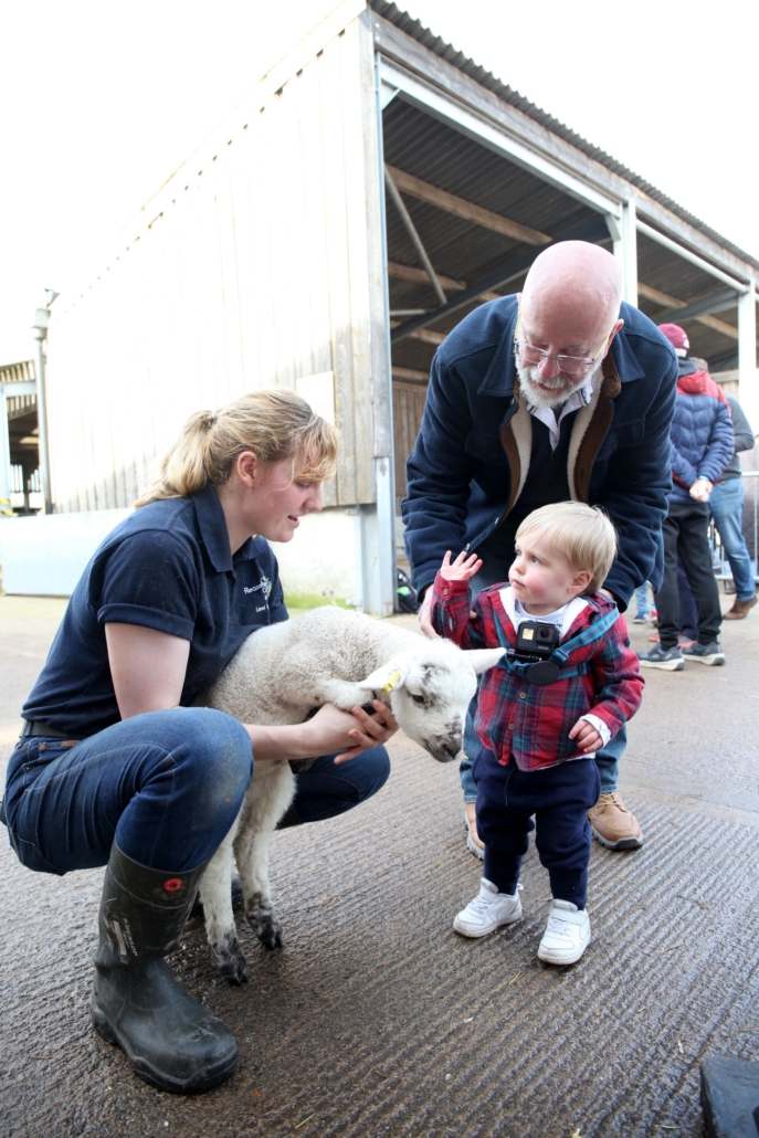 Lambing - Reaseheath College