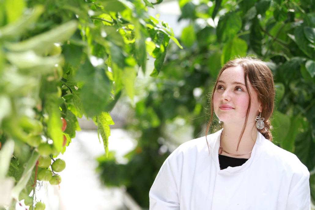 Funding package launched to supercharge careers in horticulture and food science - Reaseheath ...