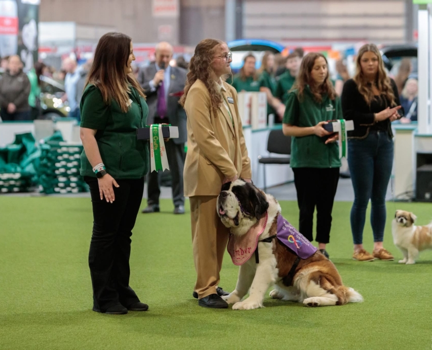 Motor vehicle student proves talent goes beyond the workshop - Reaseheath College