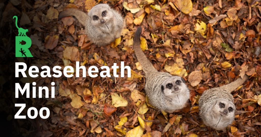 Reaseheath College | leading land-based college