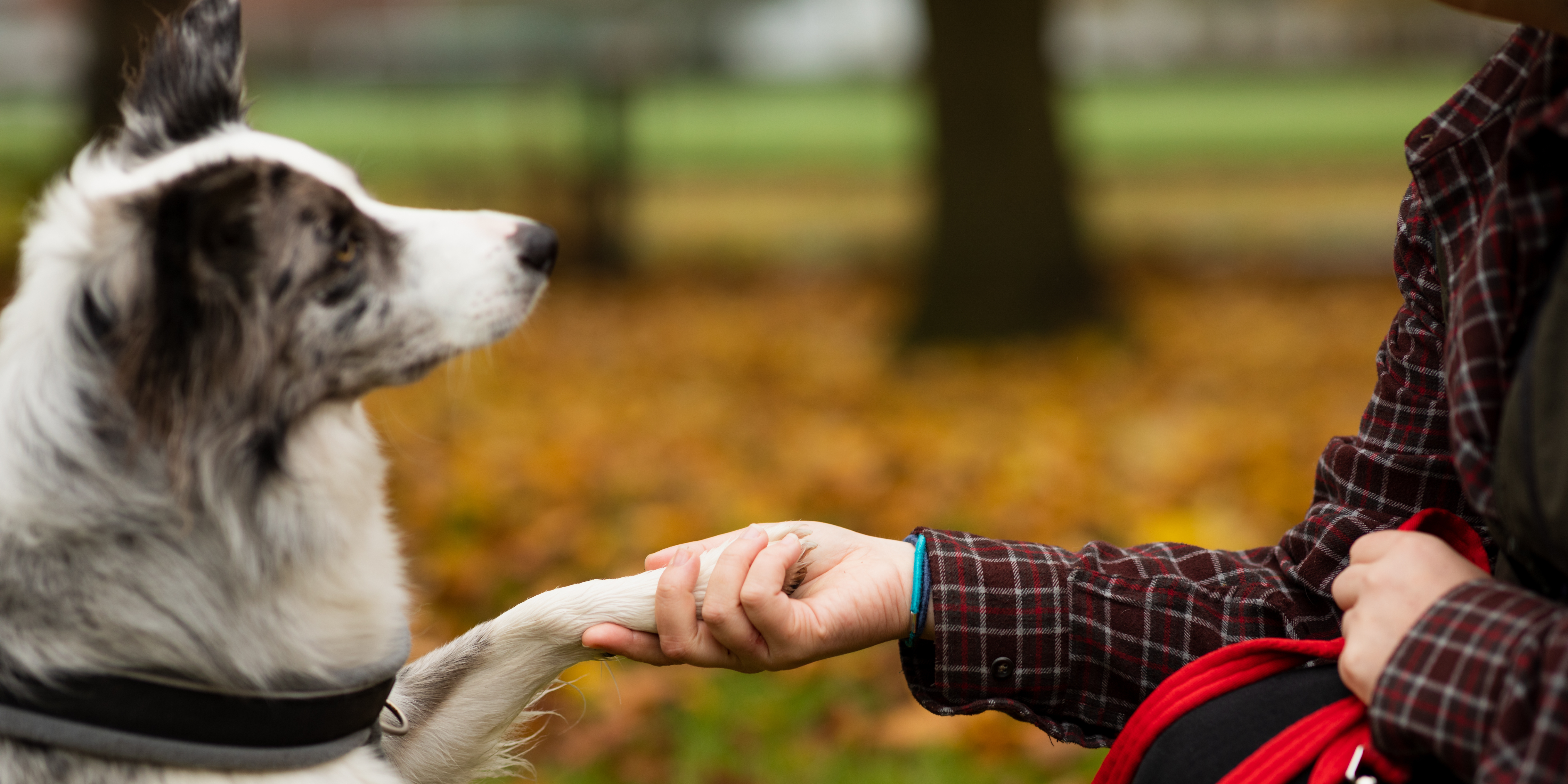 Untitled design (23) - Reaseheath College