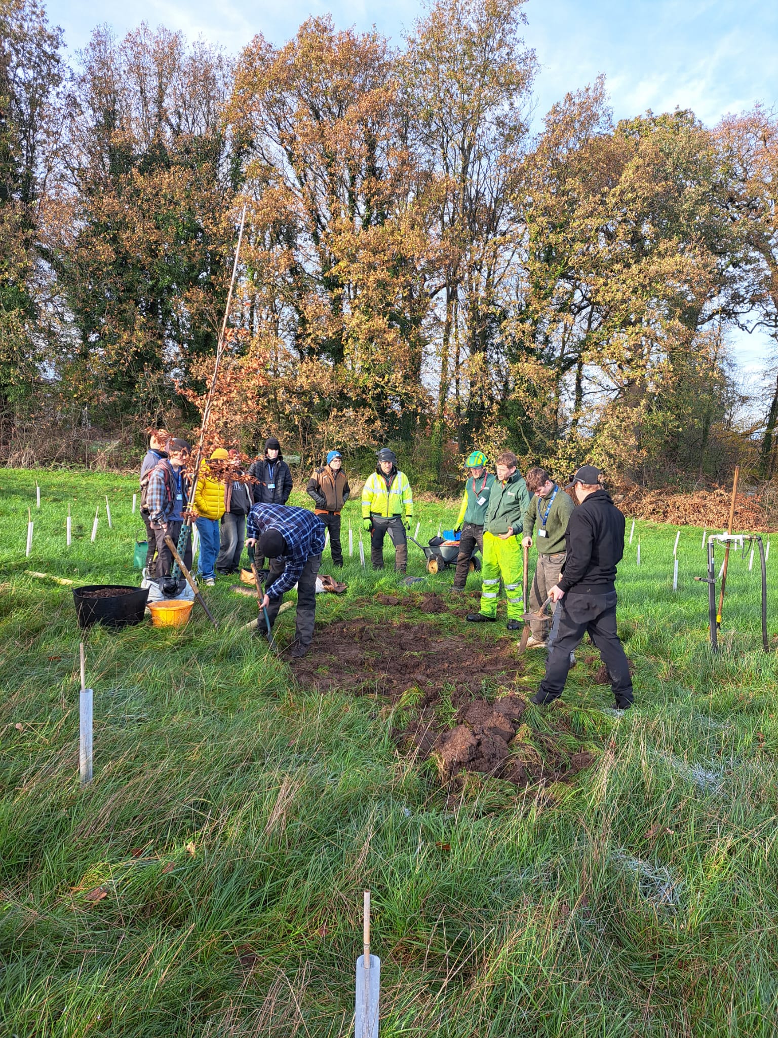 Reaseheath students gain a ground-up view of modern tree management - Reaseheath College